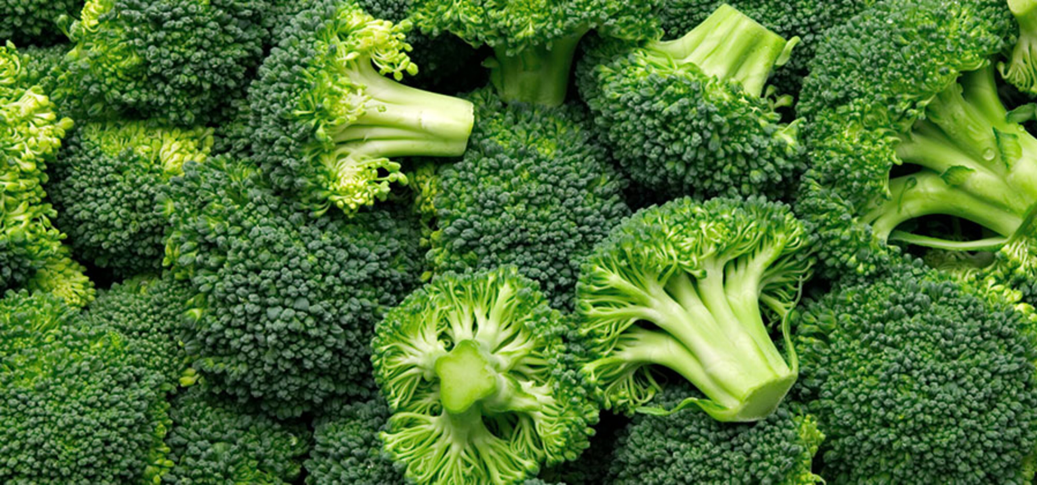 Gemüse-Lexikon: Brokkoli | Carl Kühne KG