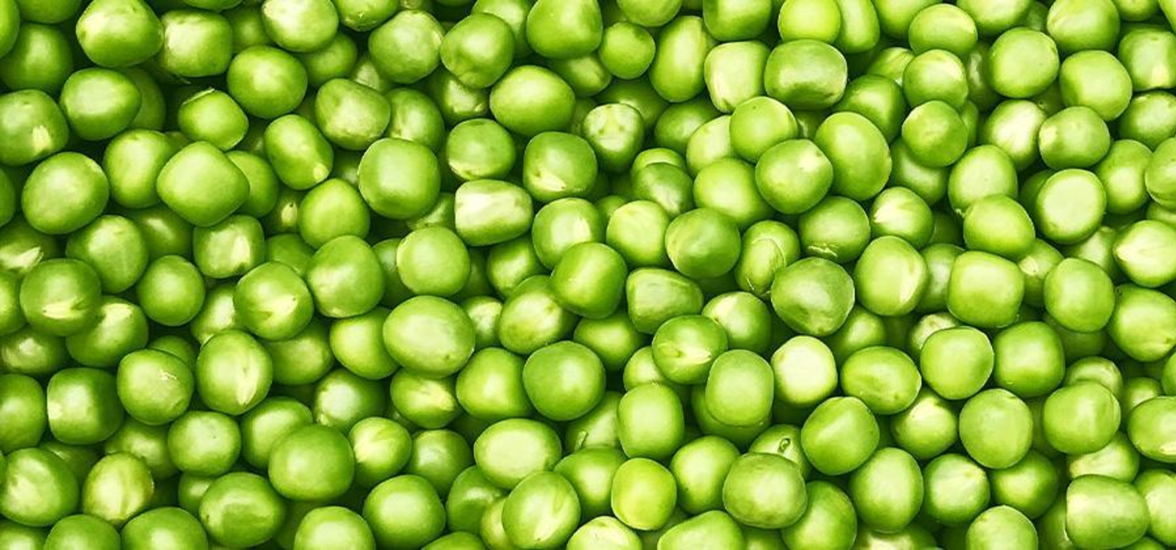 Gemüse-Lexikon Erbsen | Carl Kühne KG